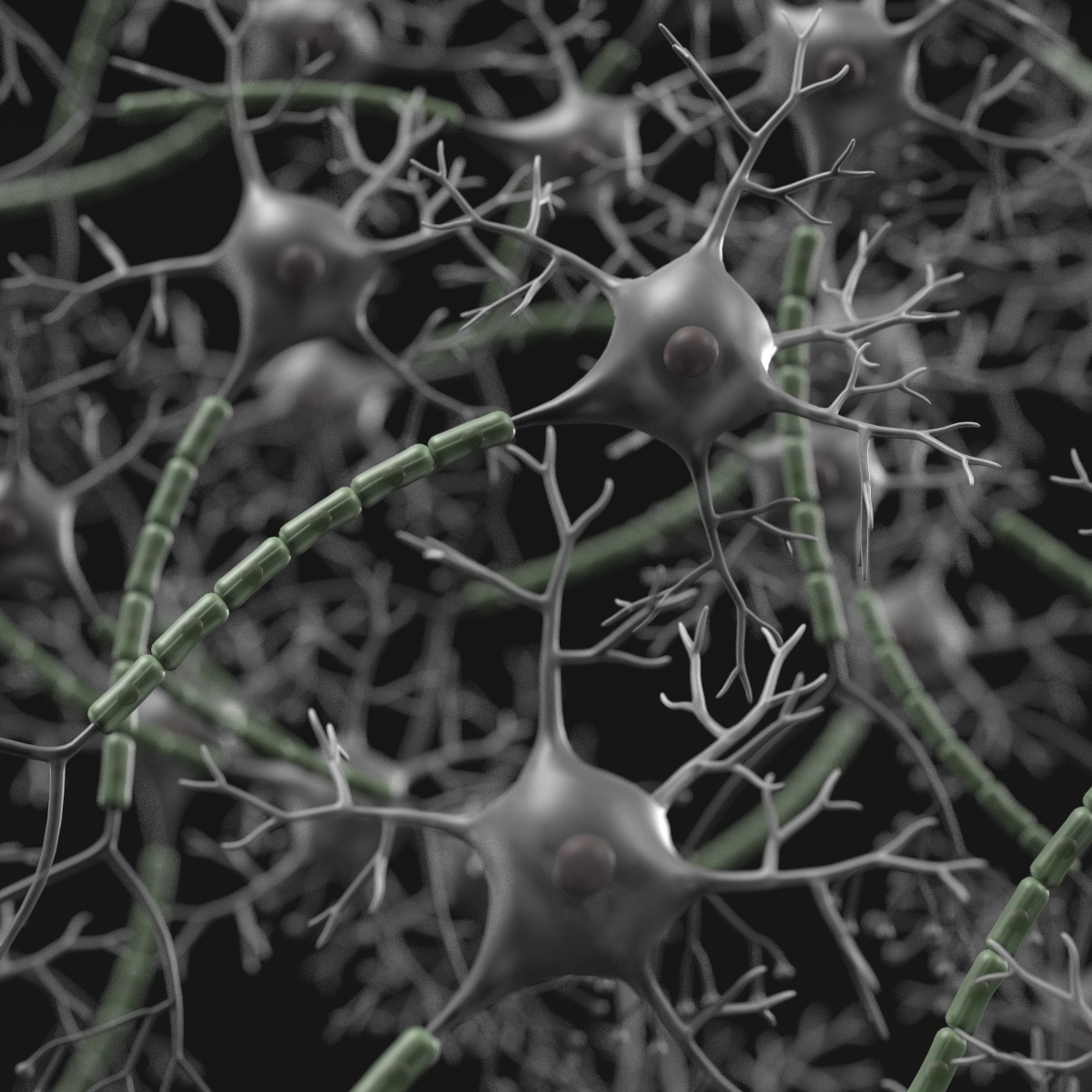 neuron network 3d model