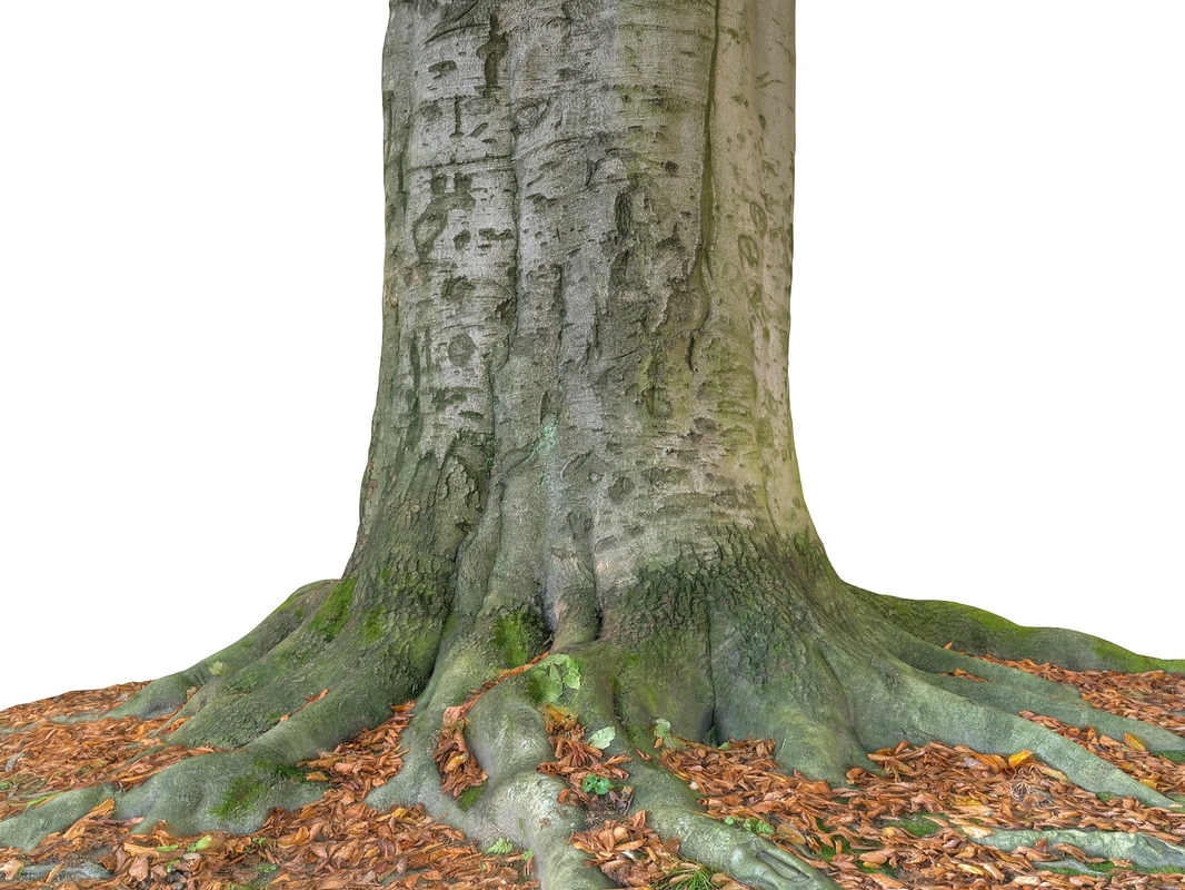 scanned ultra hd 3d model