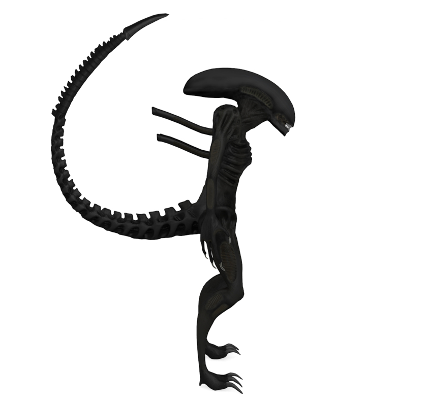 3d model of xenomorph alien creature