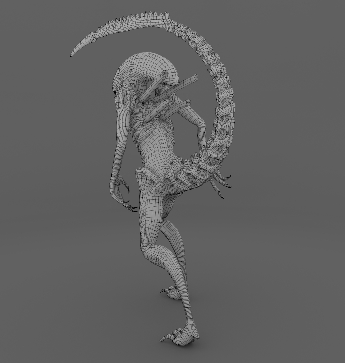 3d model of xenomorph alien creature