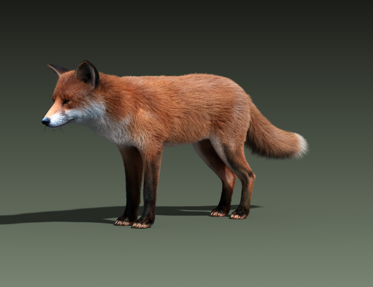 red fox fur rigged max