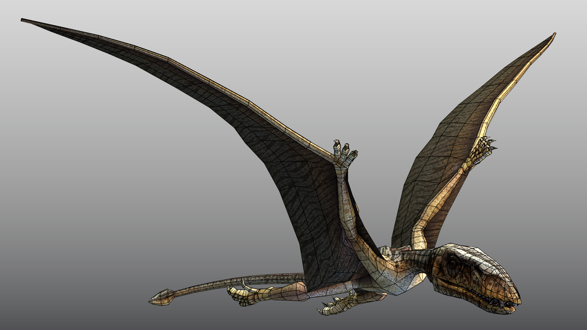 3d dimorphodon games model