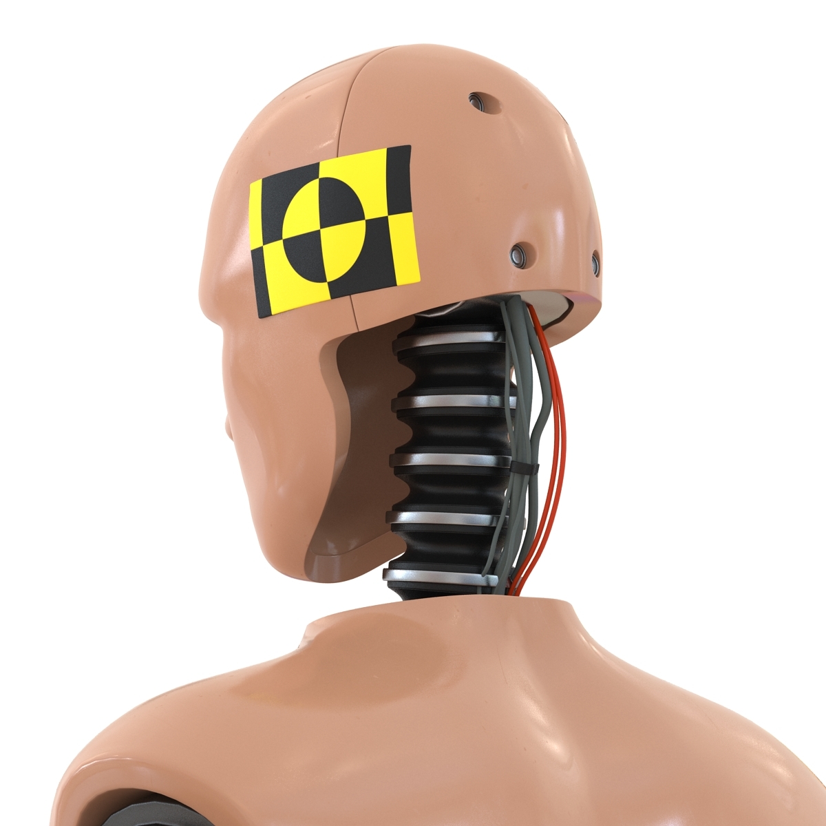 male crash test dummy max