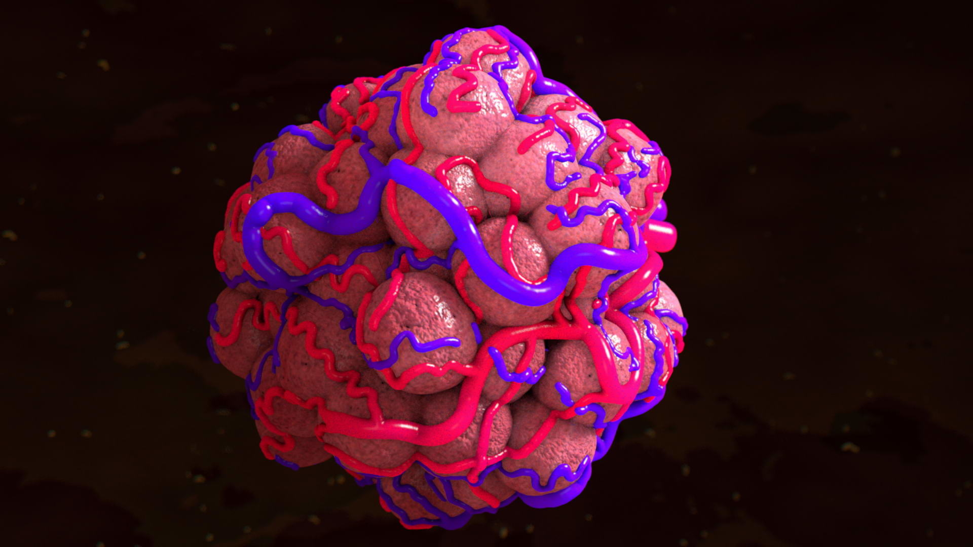 c4d vessel cell cluster