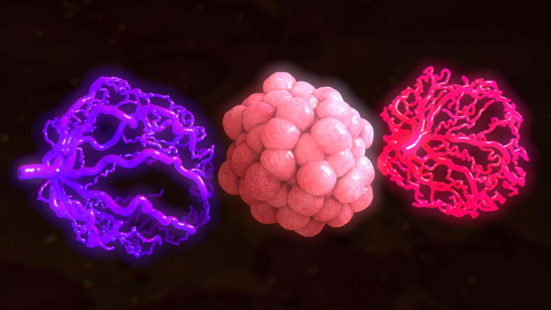 c4d vessel cell cluster