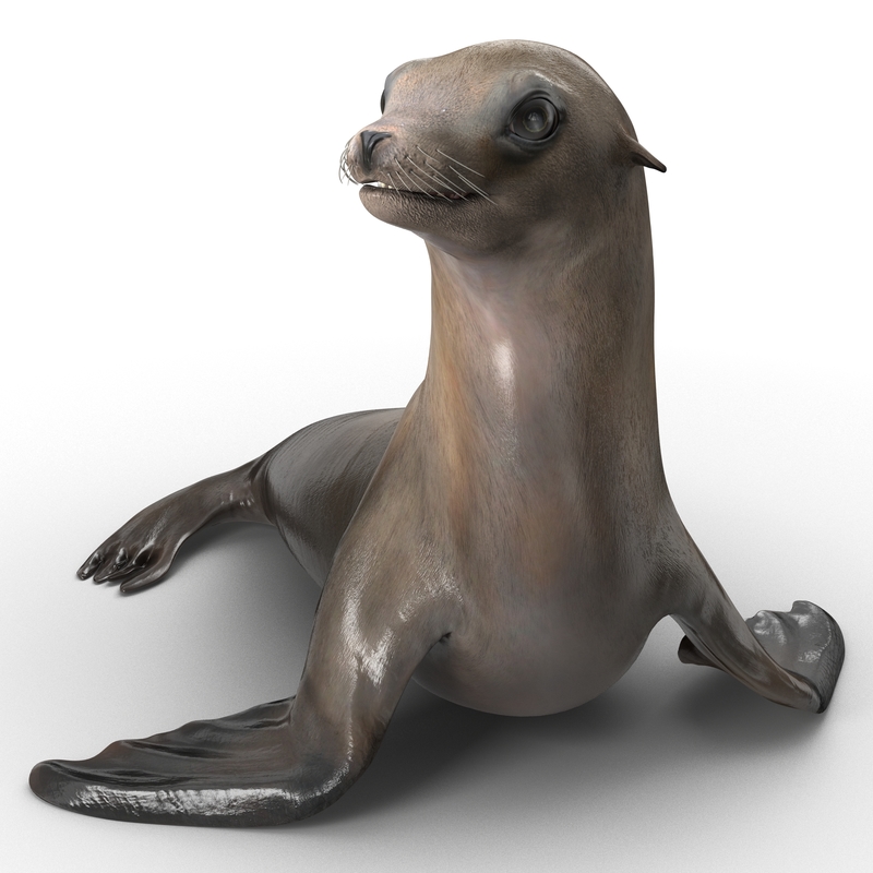 sea lion pose 2 3d 3ds