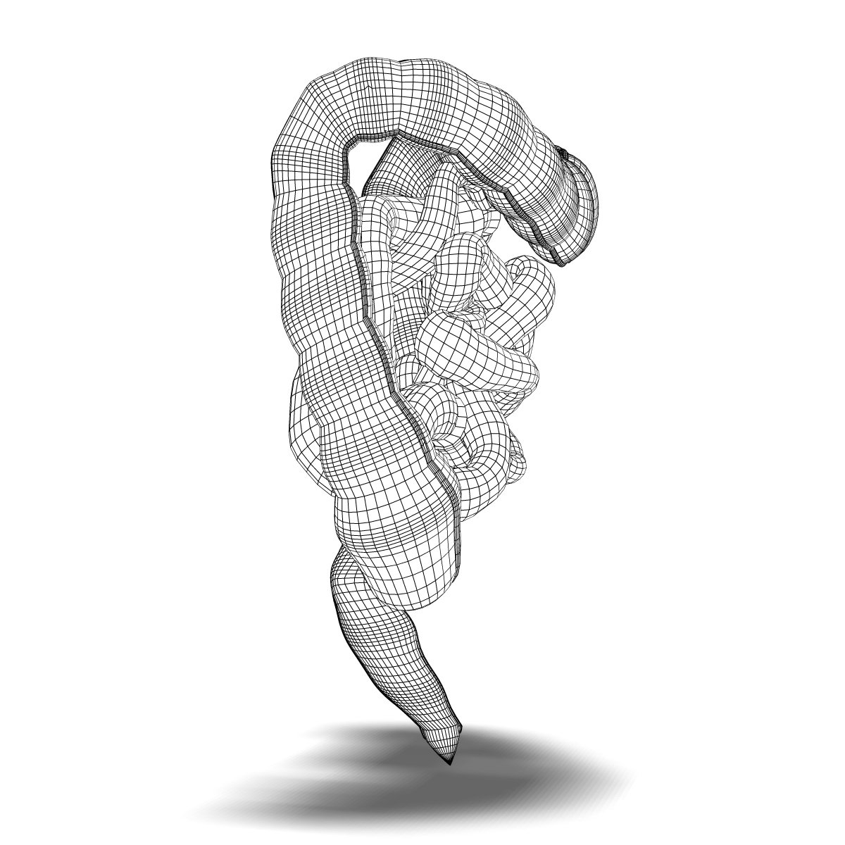 human intestines anatomy 3d model