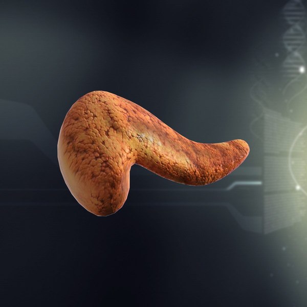 Modello 3D Anatomia del pancreas - TurboSquid 967054