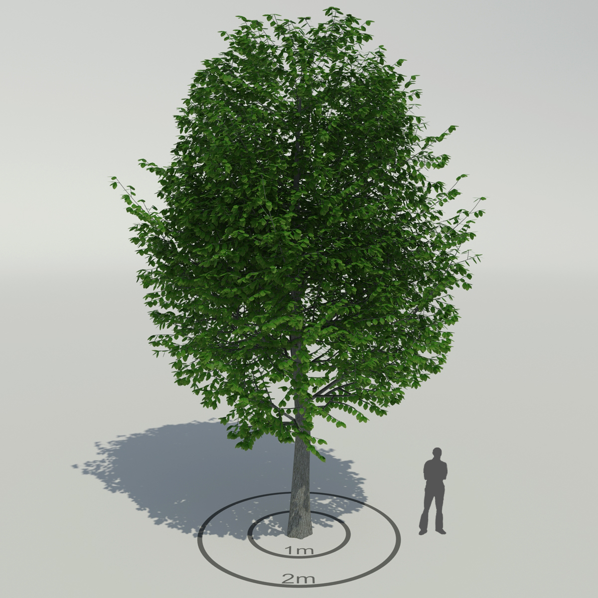 free obj model tree