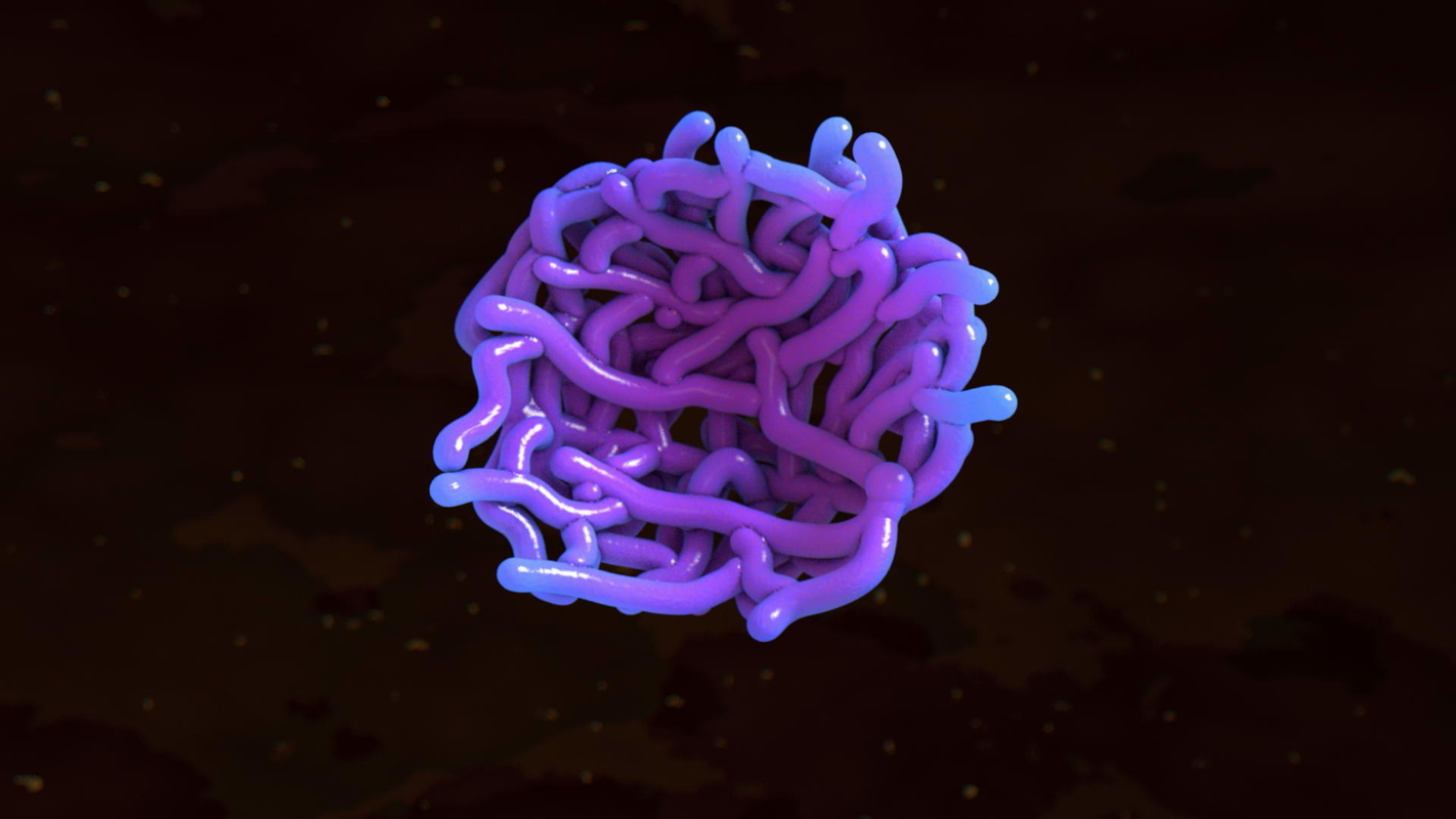 cells nucleus endoplasmic reticulum 3d model