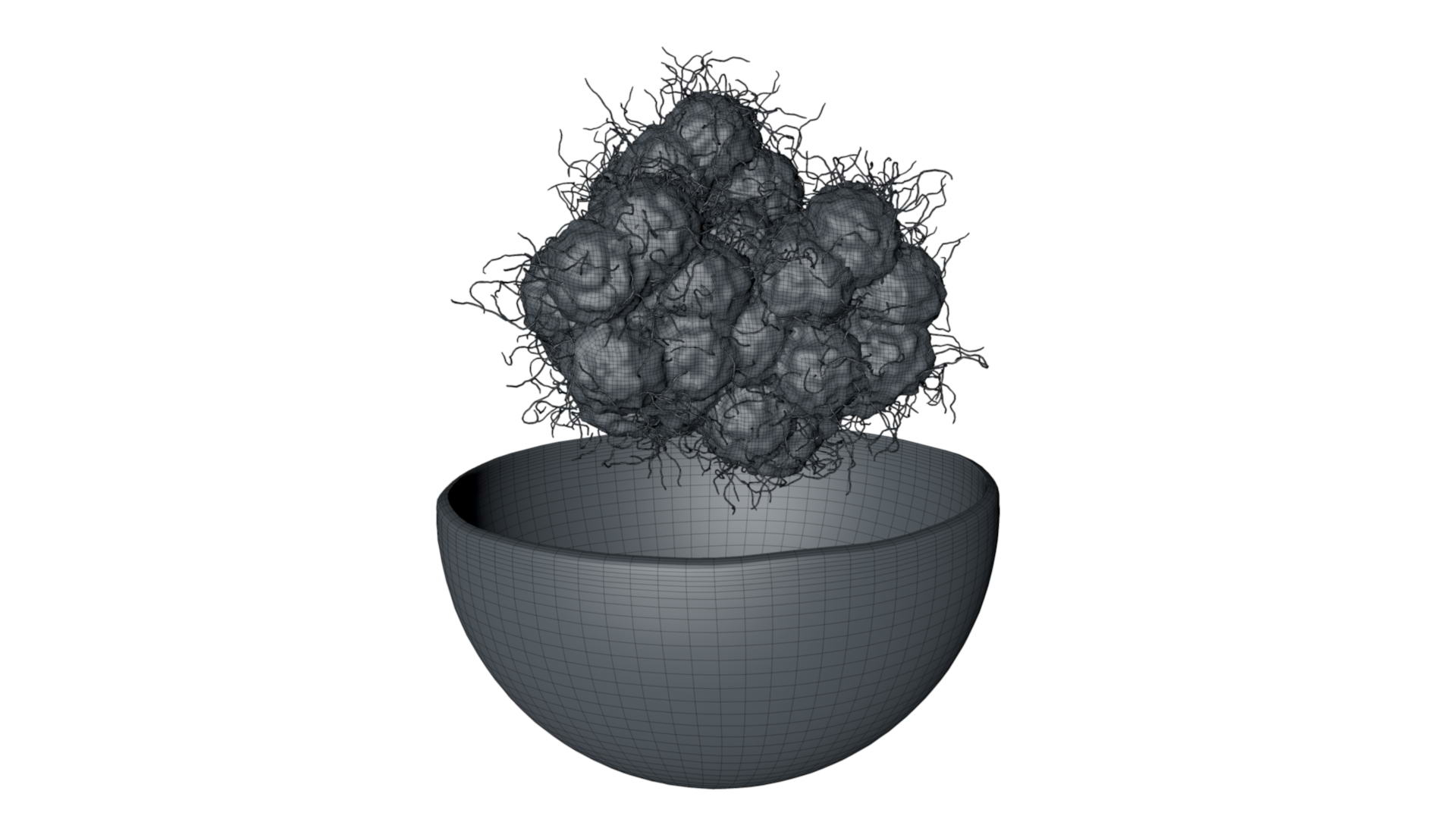3d lysosome lipofuscin proteins aggregate model