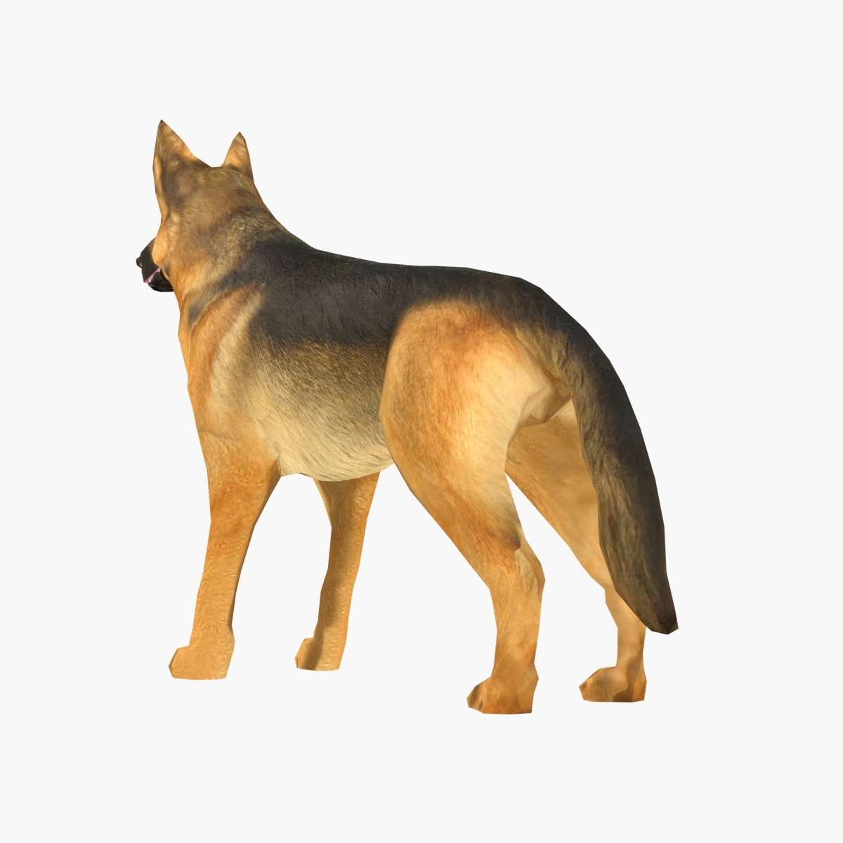 german shepherd 3d max