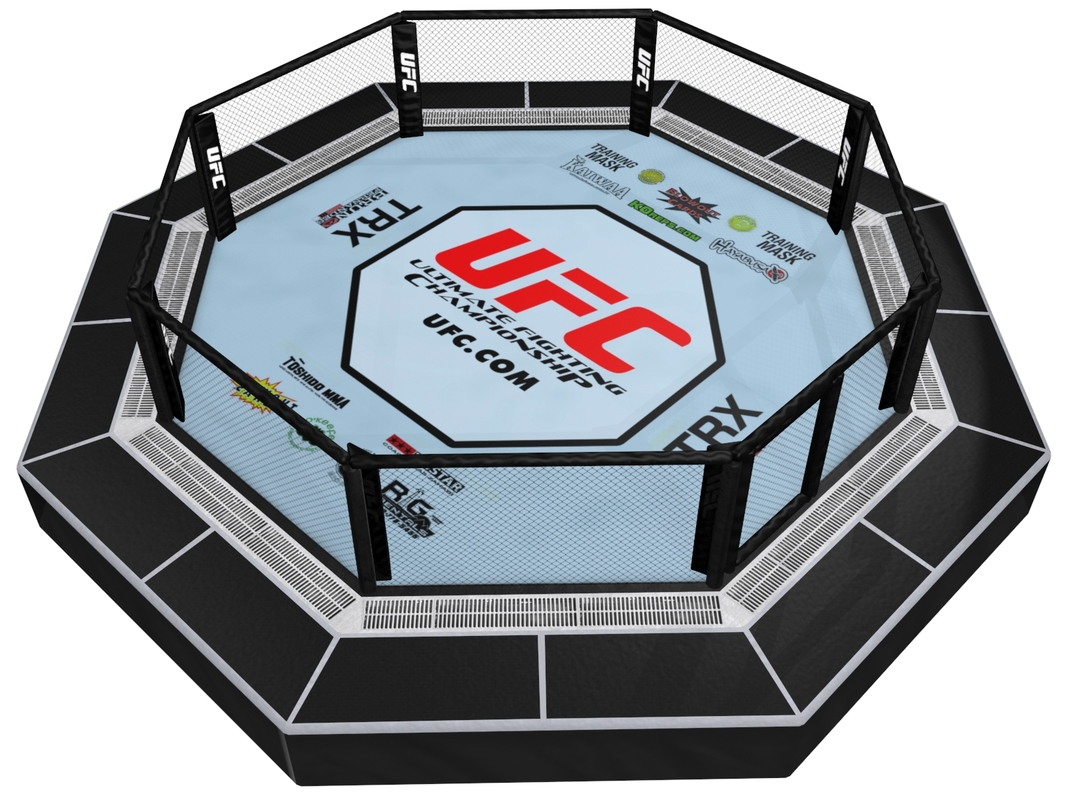 3ds max ufc octagon ring