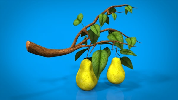 modelo 3d Pera - TurboSquid 968966