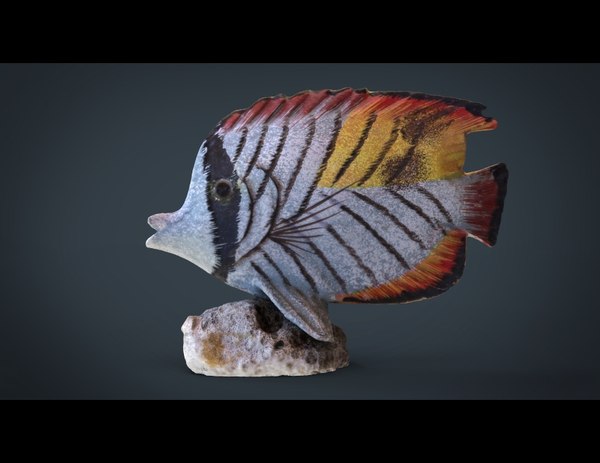 fish decorative obj