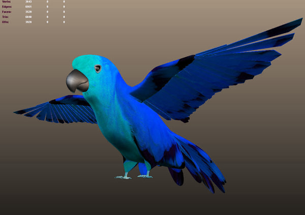 3d obj parrot birds macaws