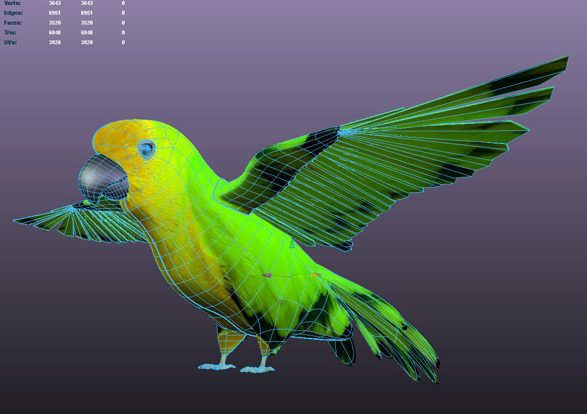 3d ma parrot birds macaws