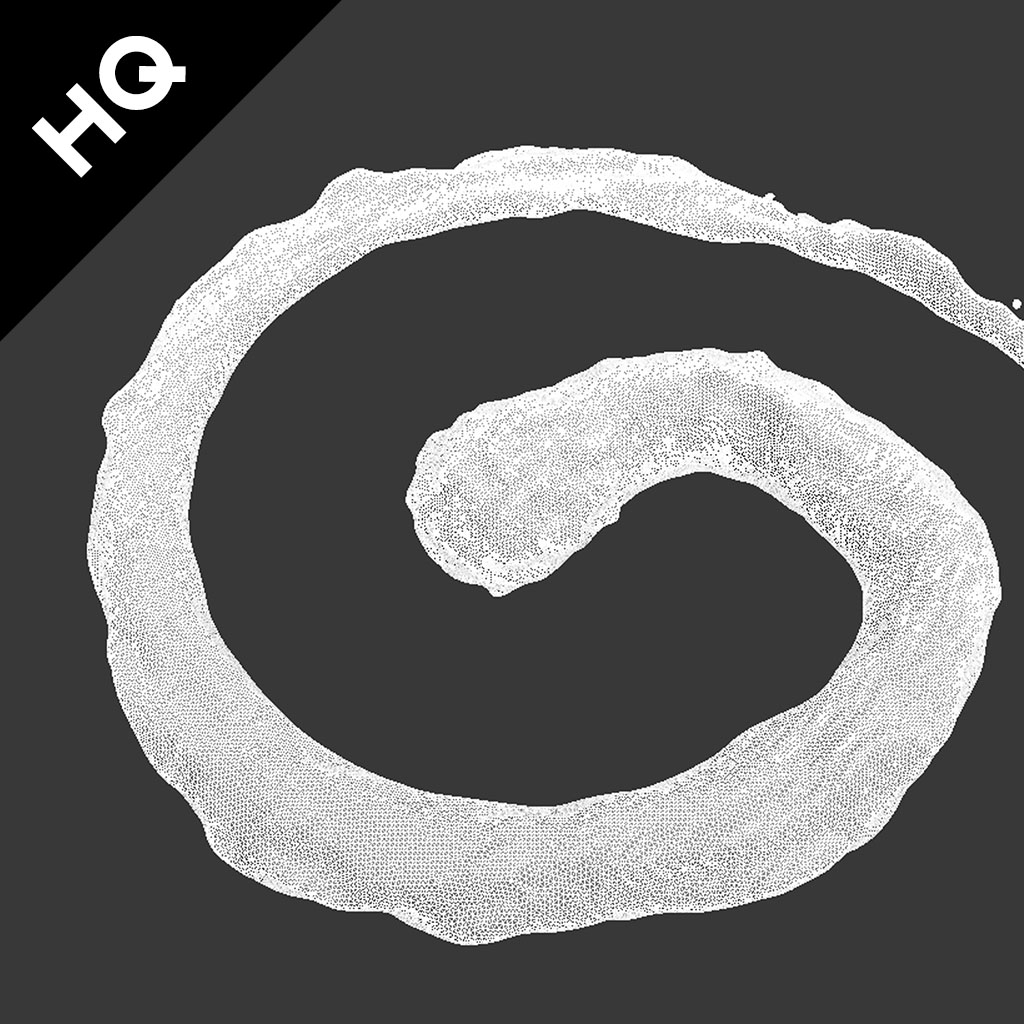 3d flow realflow model