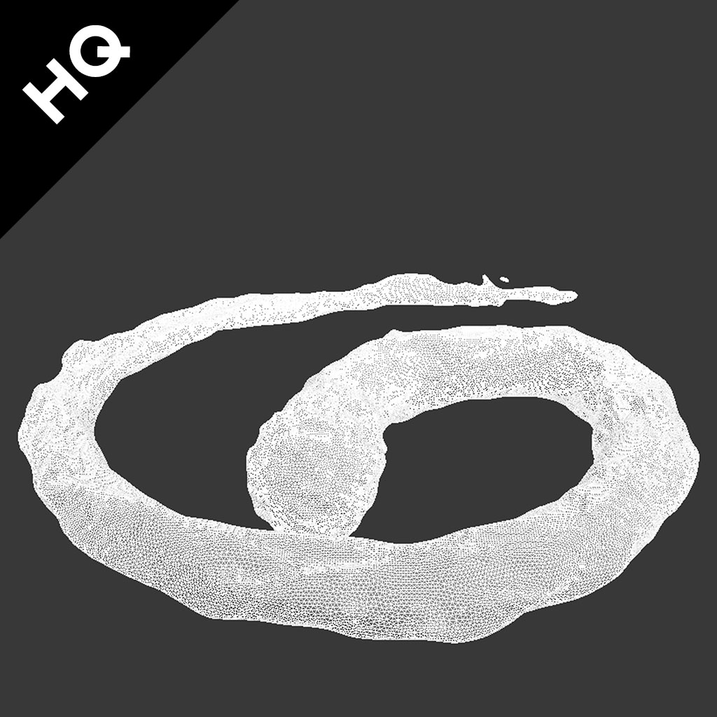 3d flow realflow model