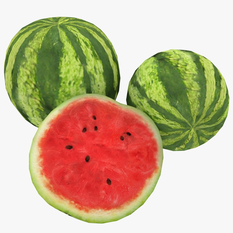 ready watermelon 3d model