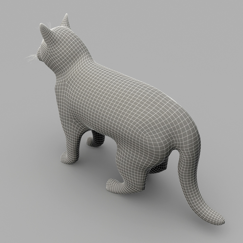 cat 3d model
