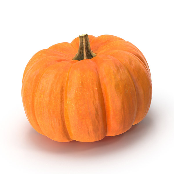 3d model pumpkin