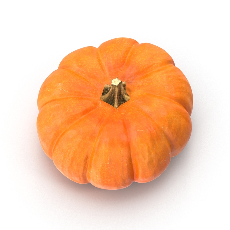3d model pumpkin