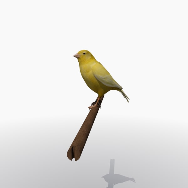 3ds max chinese bird cage canary