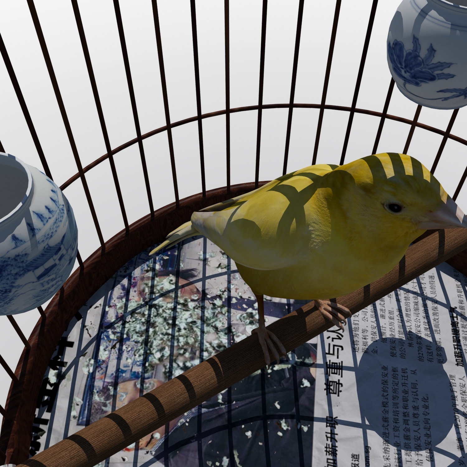 3ds max chinese bird cage canary