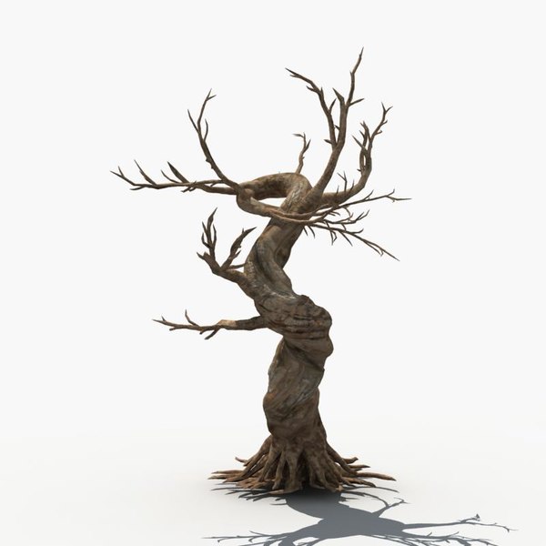 3d scary tree dry model