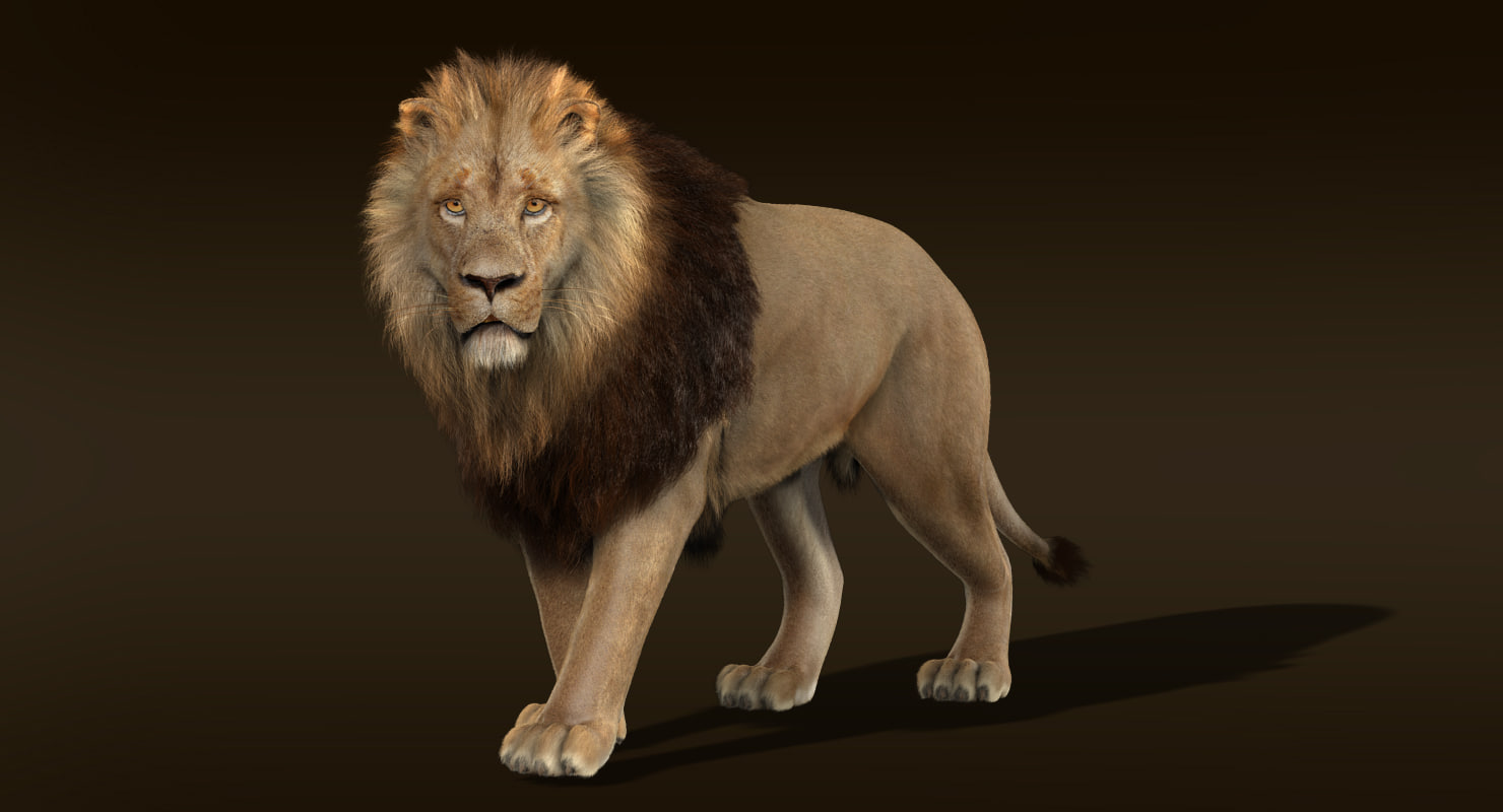 maya lion rigged fur