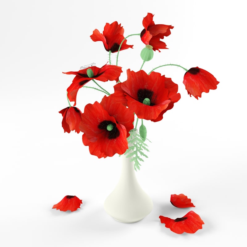 3d red poppies bouquet