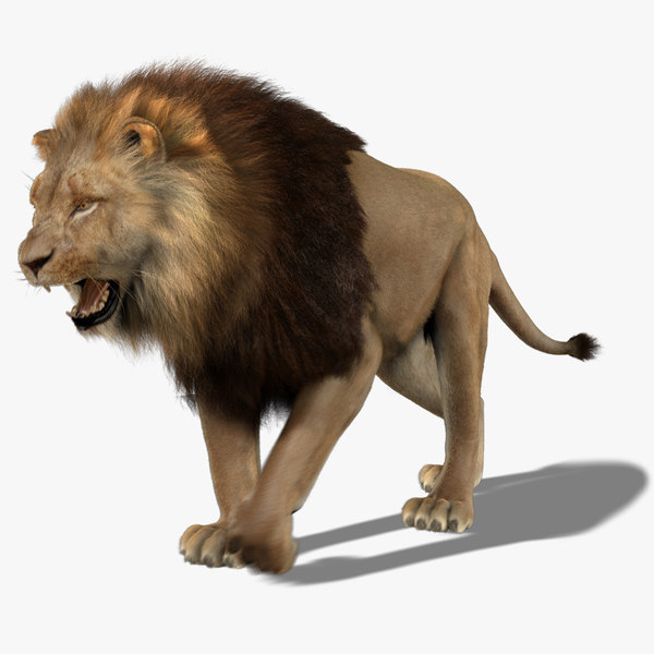 Animal 3D Models for Download | TurboSquid