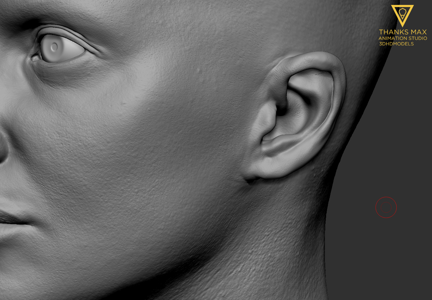 emily hyper realistic female 3d model