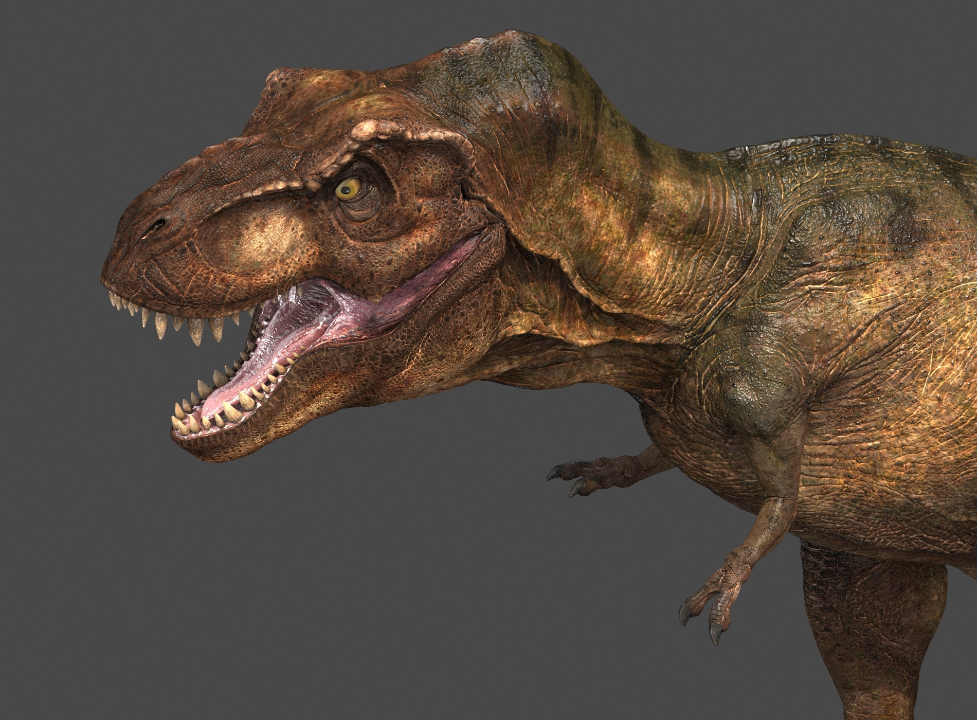 modelo 3d Tyrannosaurus Rex-Anim - TurboSquid 971499