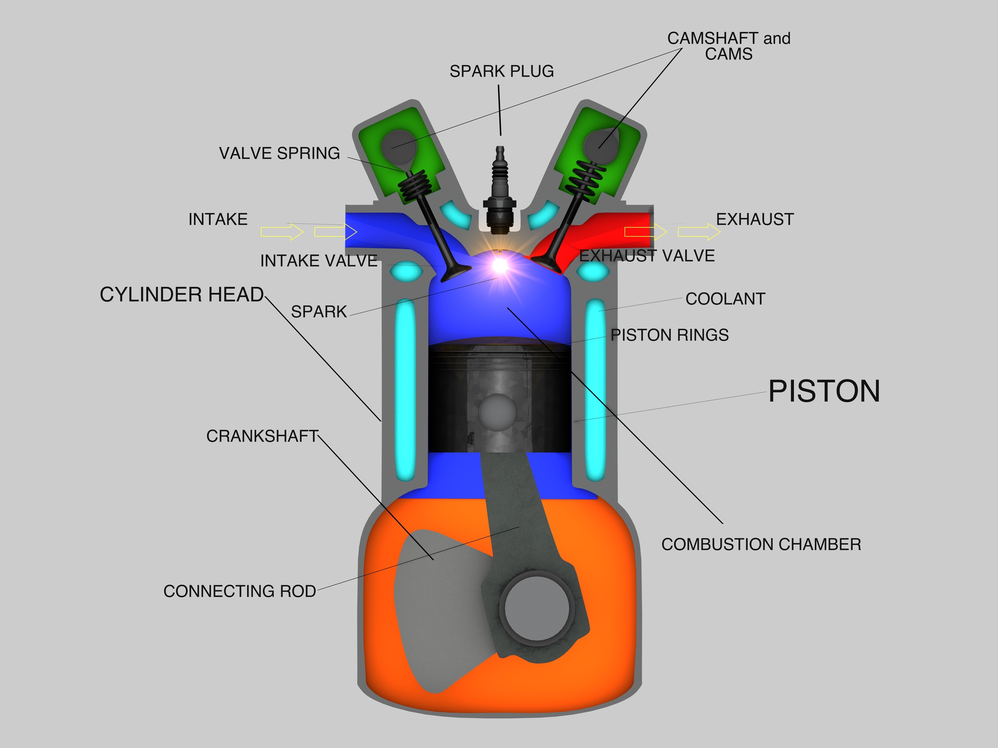 3d educational engine rotary model