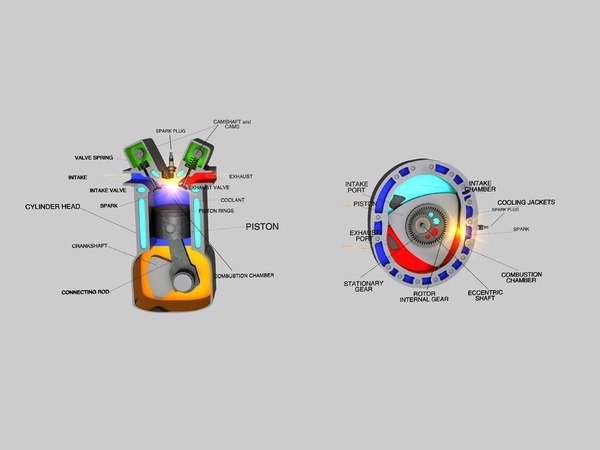 3d educational engine rotary model