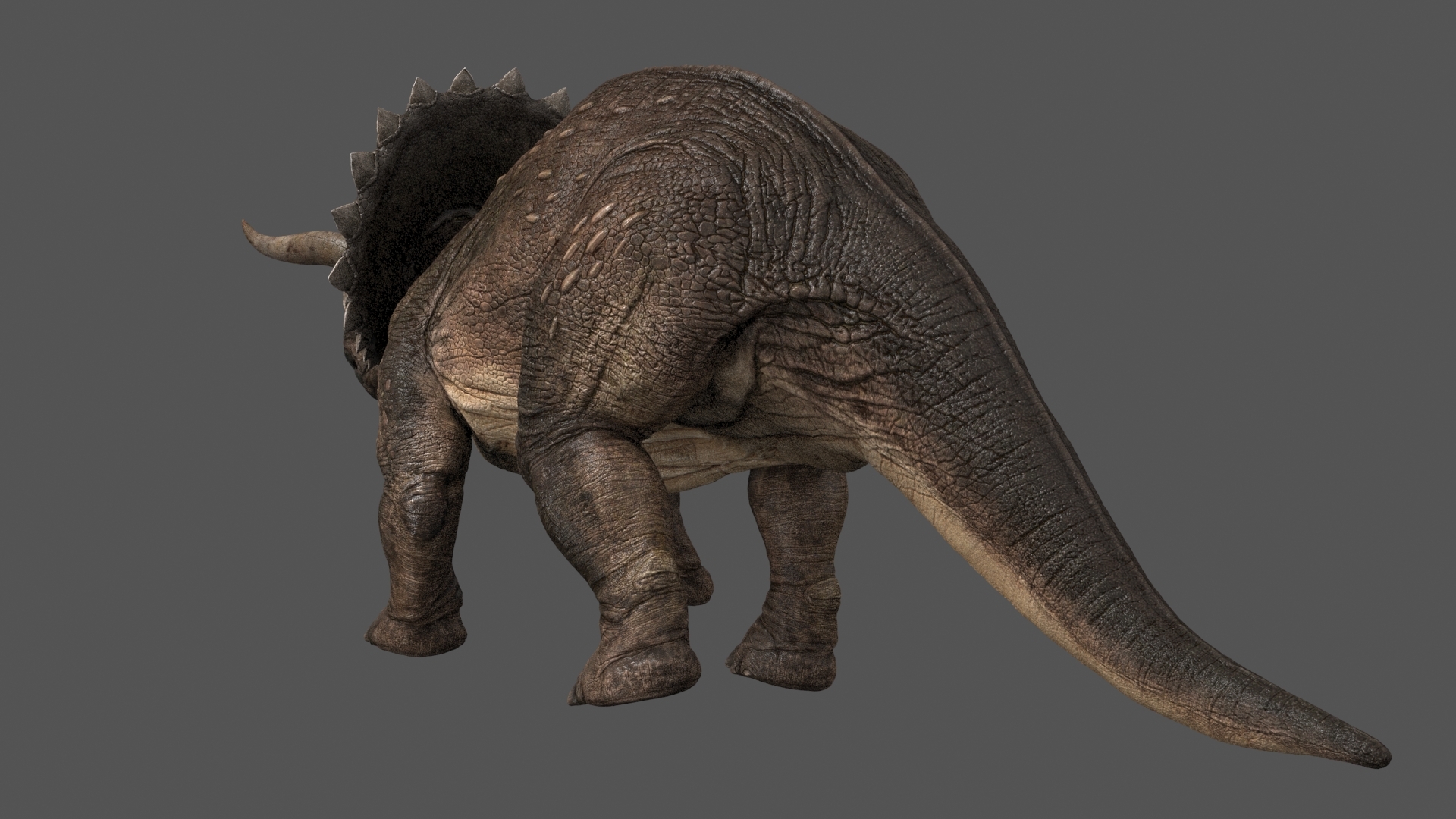 3d triceratops model