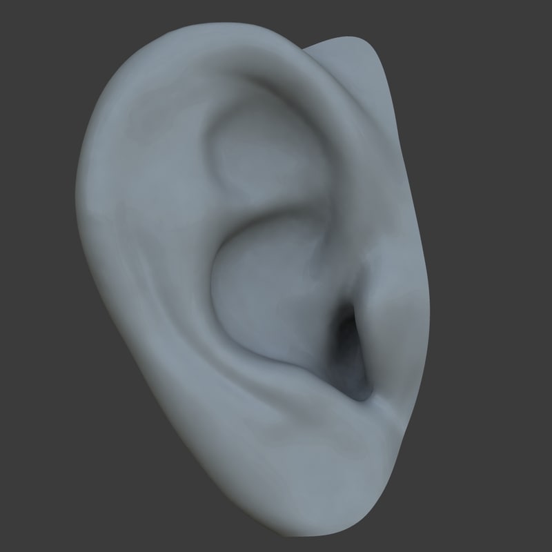 ear character 3d ma