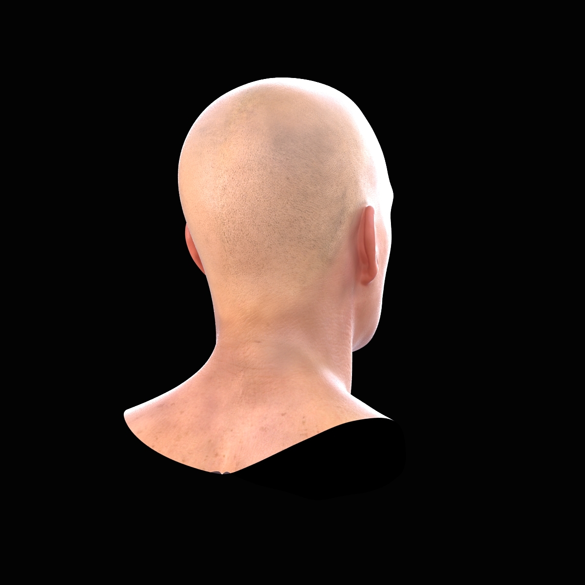 male head 3d max