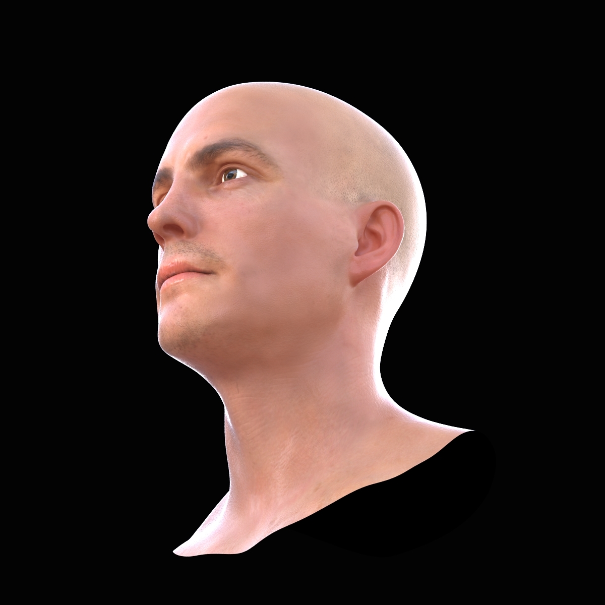 male head 3d max