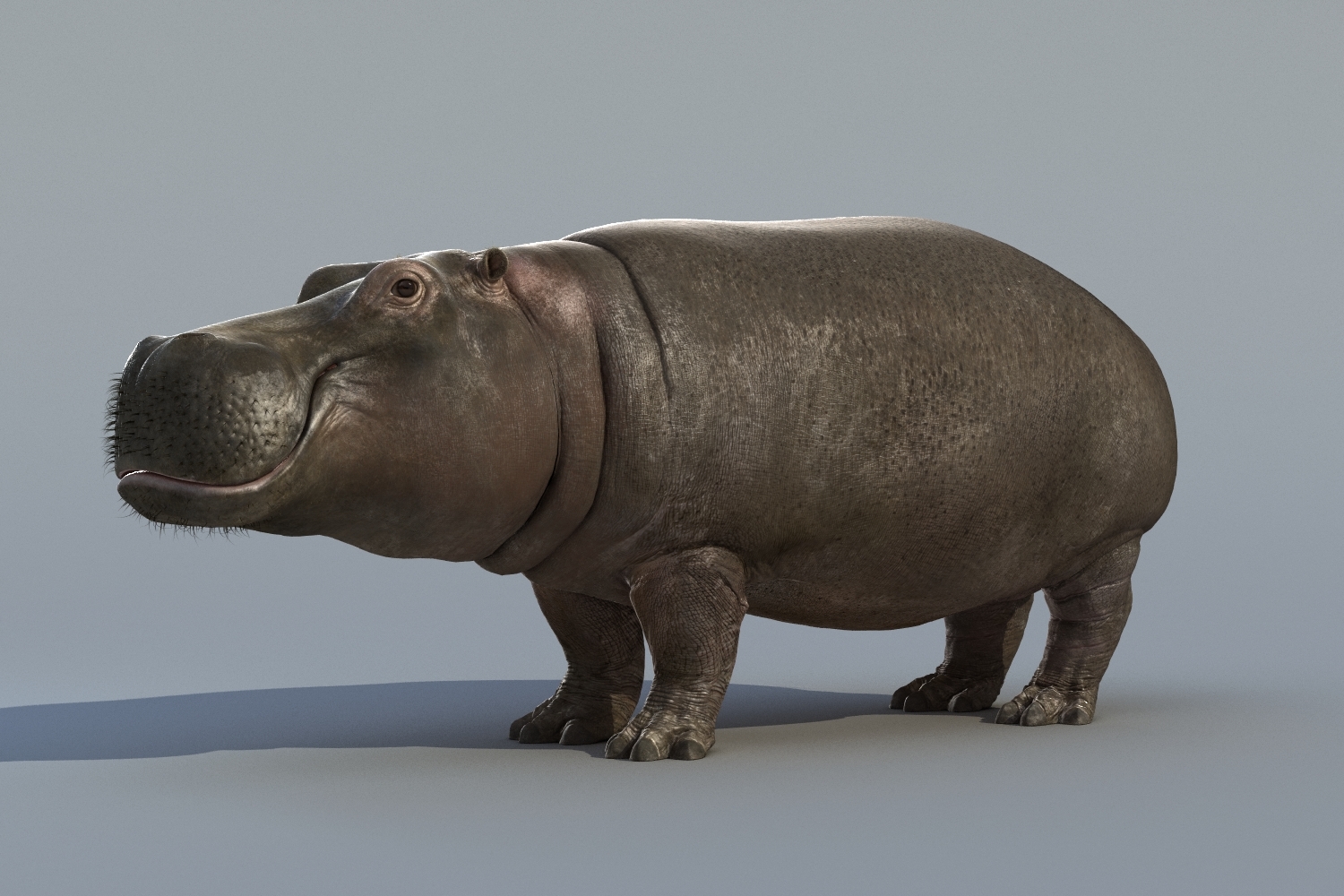 max heavy animals rig pack