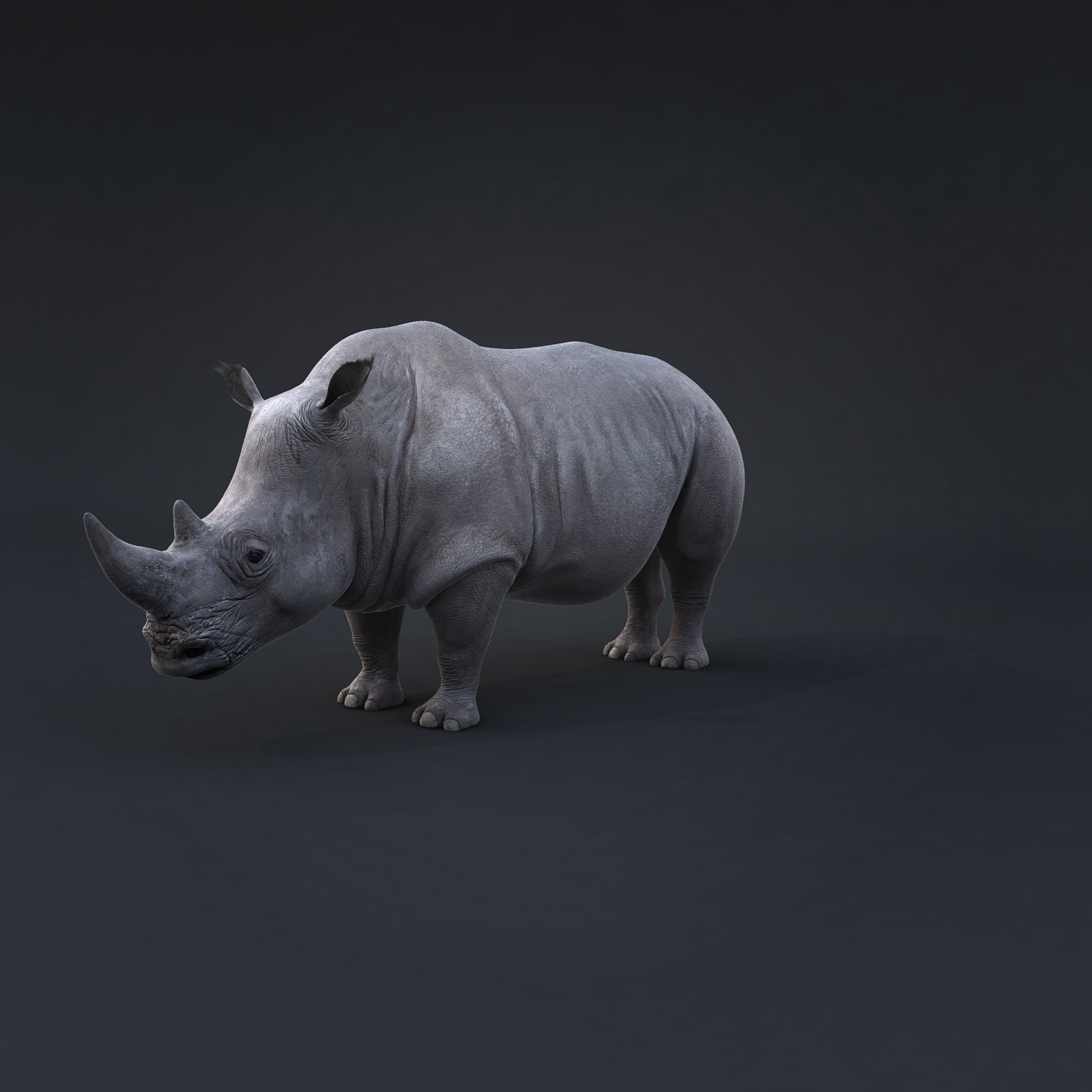 max heavy animals rig pack