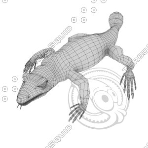 Lizard 3D Models for Download | TurboSquid