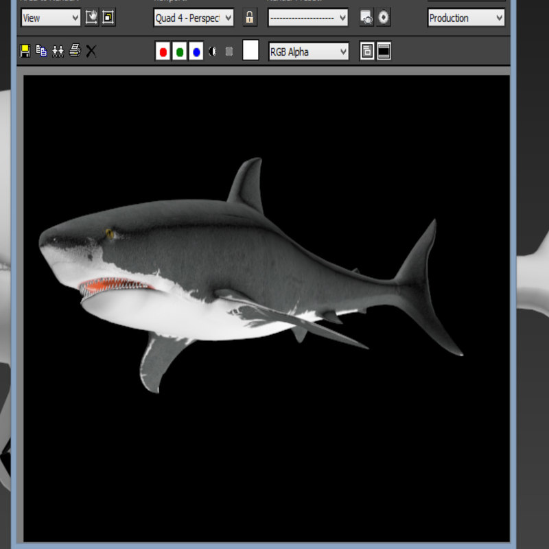 free shark 3d model