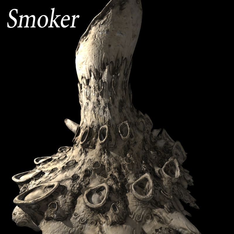 3d smoker