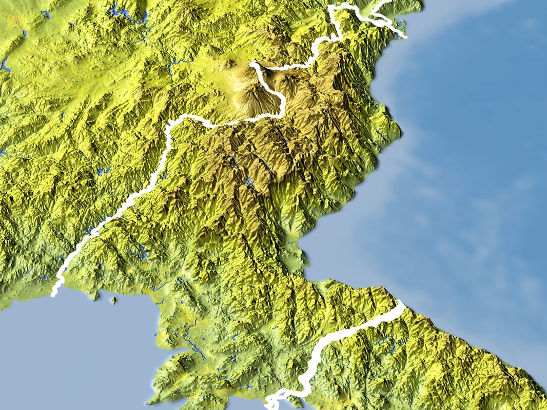 max relief japan resolution