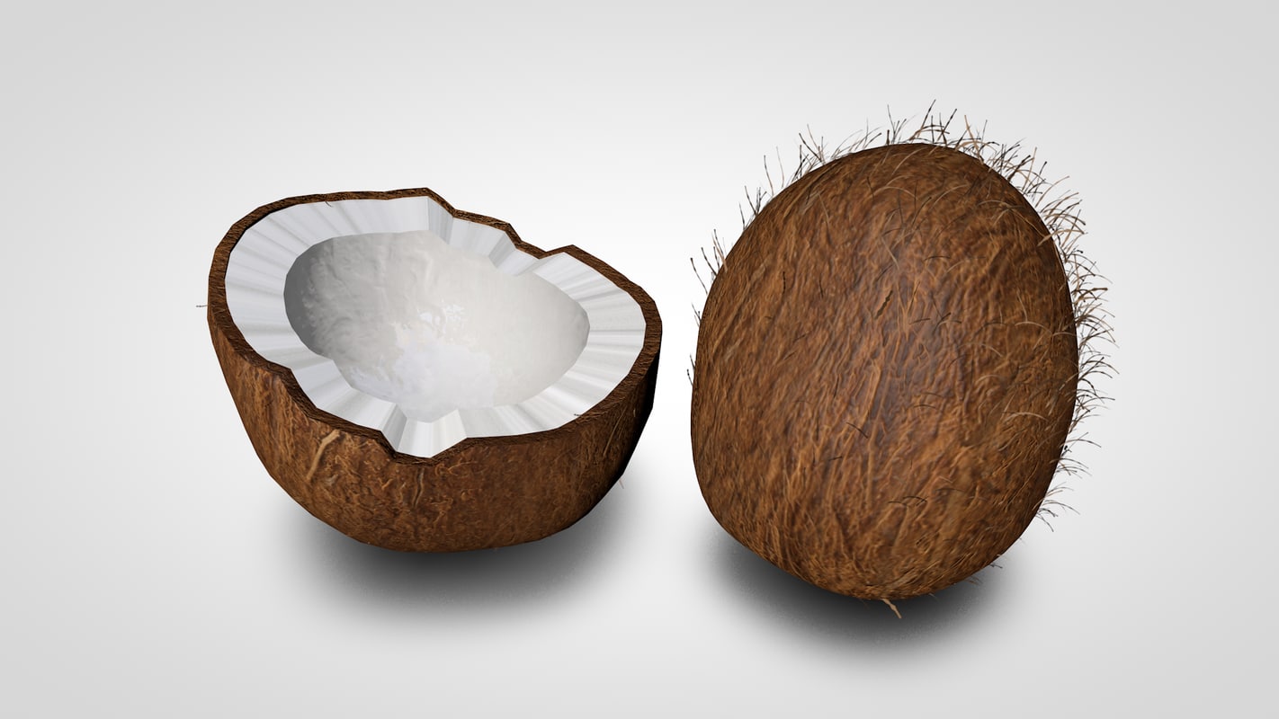 coconut coco nut 3d model