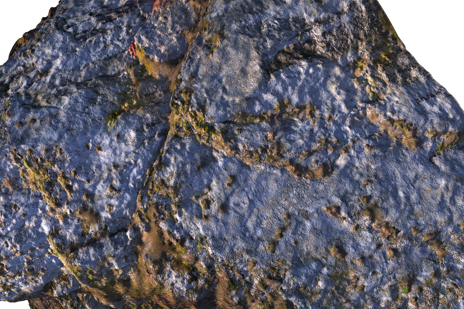 maya rock forest autumn 8k