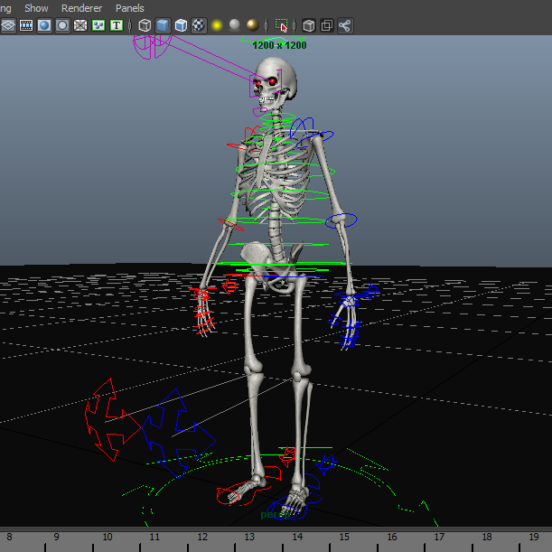 skeleton rig ma free